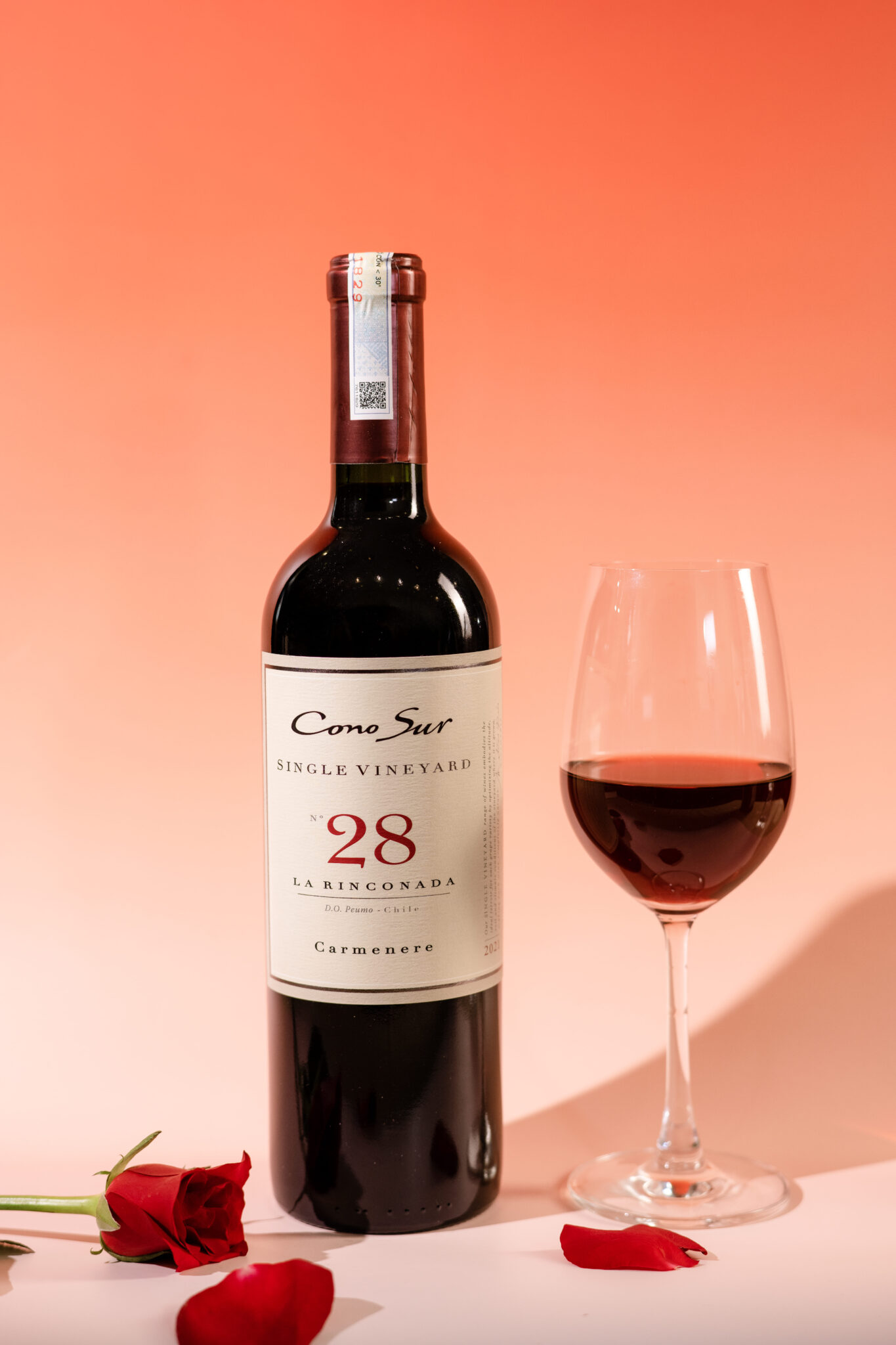 HỘP QUÀ TẾT 2026 PHÁT TÀI – VANG ĐỎ CHILE SINGLE VINEYARD 28 & HẠT NHẬP ...